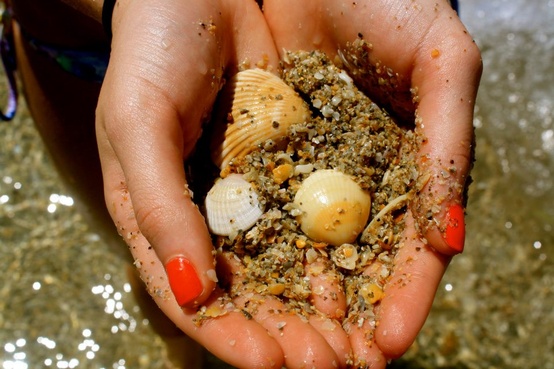 Kreativne ideje sa školjkama