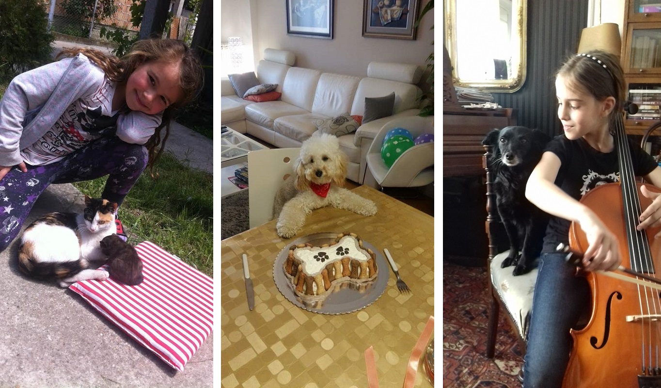 Prvi foto konkurs za decu i mlade „Moj ljubimac“ do 5. juna u Dečjem ...