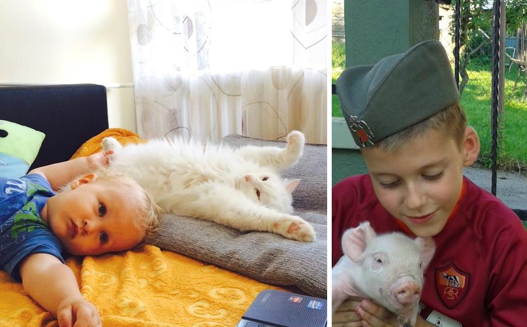 Prvi foto konkurs za decu i mlade „Moj ljubimac“ do 5. juna u Dečjem ...